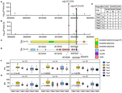 Identification Of Qtns Qtn By Environment Interactions For Plant