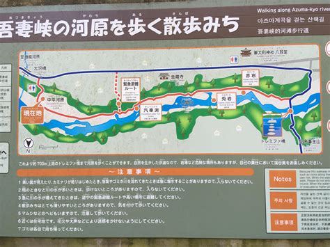 埼玉県飯能ハイキング初心者向けコース天覧山多峯主山 たびこふれ