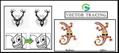 Vector Tracing Service Raster To Vector Vector Conversation