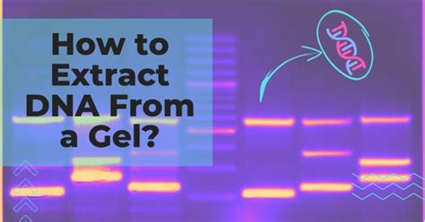 What Are The Different Components Used In The Pcr Reaction Buffer