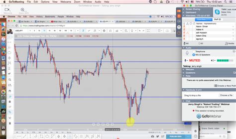 Jerry Singhs Naked Trading Mentorship The Binary Lab