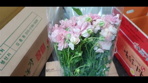 버터피치 생화 인터넷꽃도매시장 생화택배 생화도매 인터넷꽃시장 인터넷꽃도매 장미대량구매 꽃 꽃다발 꽃도매 꽃시장 부산꽃시장 김해꽃시장 꽃쇼핑몰 김해꽃 부산꽃 꽃싸게사는법