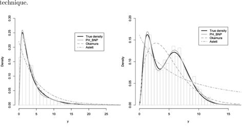Density Estimation For Two Phase Type Distributions Using The Mapfit