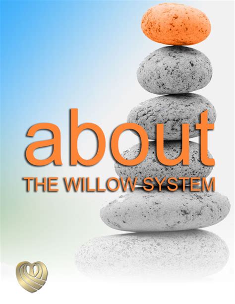 Simply Put The Willow System Is All About You