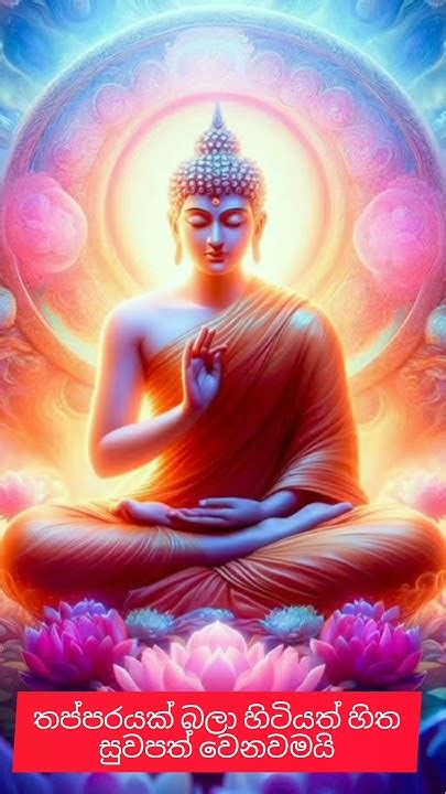 තප්පරයක් බුදු රුව දෙස බලා ඉන්න එවිට ඔබ් සිත සුවපත් කරයි Youtube