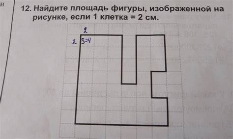 найдите площадь фигуры изображённой на рисунке если 1 клетка 2см Школьные Знания Com
