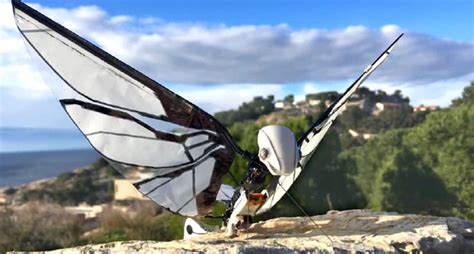 Metafly A New Biomimicry Drone Drone Below