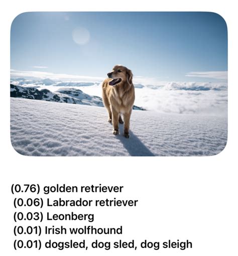 How To Classify An Image Through ML On IOS