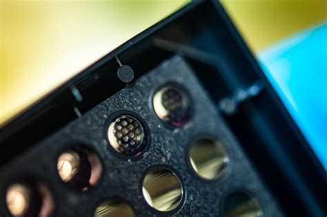 Patterned Dish Reveals New Info About Early Embryo Futurity