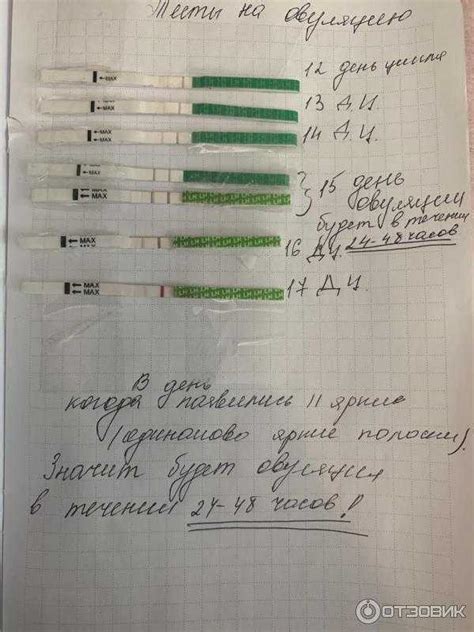 Как выглядит тест на овуляцию в день овуляции - 92 фото