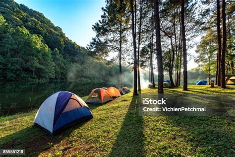 야영 모험 캠핑 및 야외 아침에 팡 웅 소나무 삼림 공원 매 홍 손 북의 태국 숲 배경에서 물 근처 소나무 숲 아래 텐트 개념