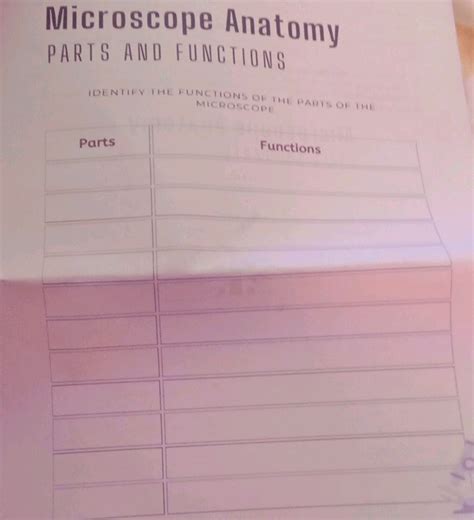 Microscope Anatomy PARTS AND FUNCTIONS StudyX