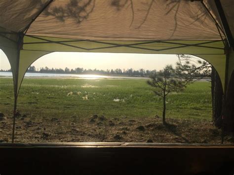 Carnero Lake Greer Arizona Free Camping Near You