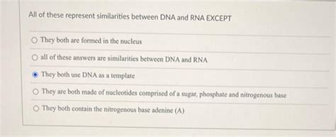 Solved All Of These Represent Similarities Between DNA And Chegg