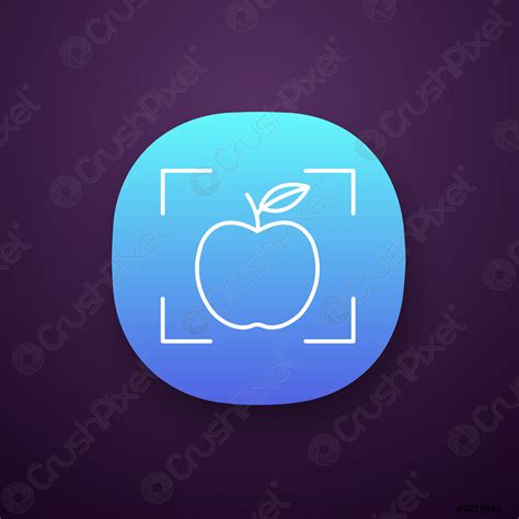 Icono De La Aplicación De Detección De Objetos Vector De Stock 3913980 Crushpixel