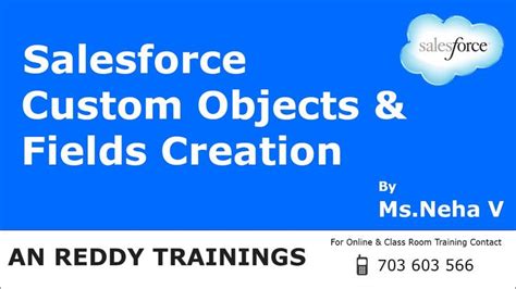 Salesforce Custom Objects And Fields Creation By Neha V An Reddy