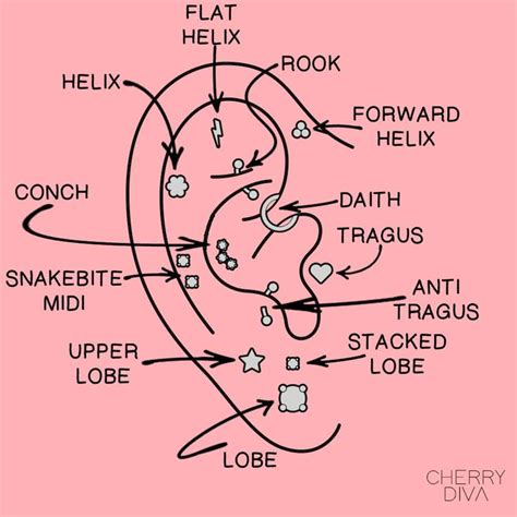 Pin By Ryann On Ear Piercing Chart Cool Ear Piercings Ear Piercings