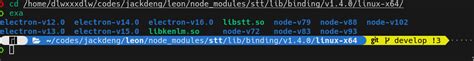 Error Cannot Find Module Leonnodemodulessttlibbindingv140linux X64node V108stt