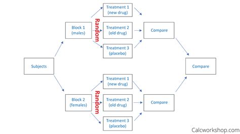 What Is A Completely Randomized Block Design Design Talk