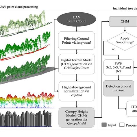 individual tree detection from uav derived canopy height model chm
