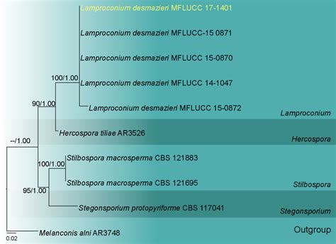 Phylogram Generated From Maximum Likelihood Analysis Based On Combined Download Scientific