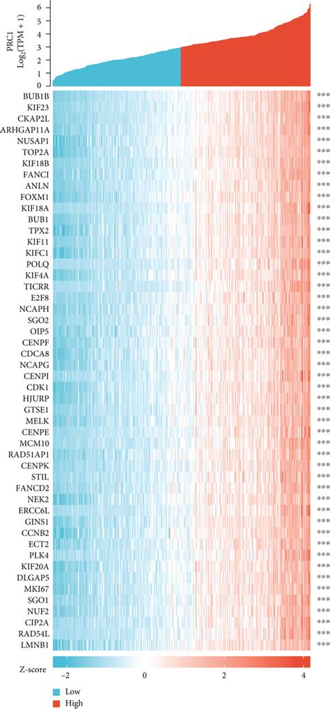 Go And Kegg Enrichment Analyses For Genes Co Expressed With Prc1 A Download Scientific