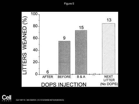 Steven A Thomas Richard D Palmiter Cell Ppt Download