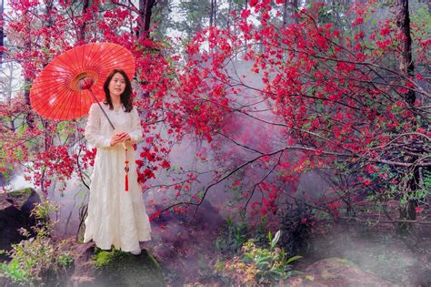 新宁德拍客团丨许舒平：恩洋花语宁德网