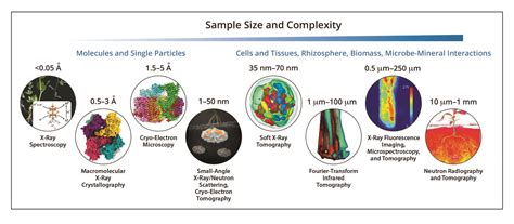 Techniques Overview Ber Structural Biology And Imaging Resources Ber Structural Biology And