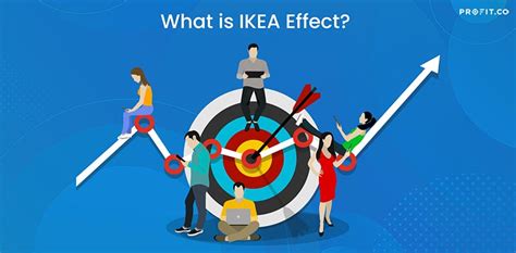 What Is Ikea Effect