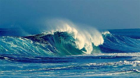 Crest Of A Wave Artofit