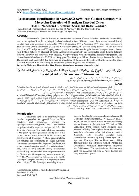 Pdf Isolation And Identification Of Salmonella Typhi From Clinical Samples With Molecular