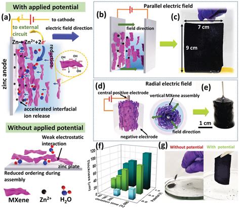 Electric Field‐induced Gelation Of Mxene Hydrogels A Schematic Download Scientific Diagram