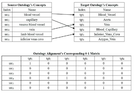 An Example Of The Biomedical Ontology Alignment And The Corresponding