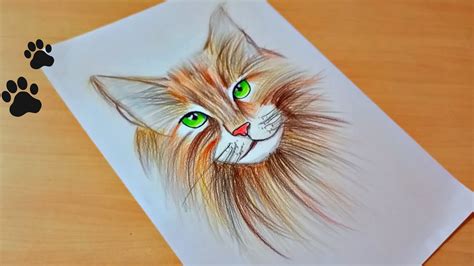 Colored Pencil Drawings Of Cats At Harriet Ridgeway Blog
