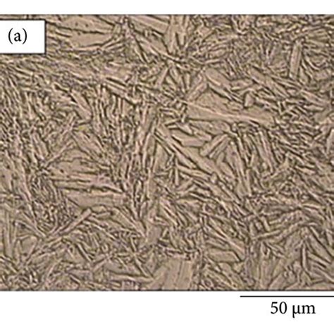 Microstructure Of Niti Alloy With Optical Microscope A Bd1p And B