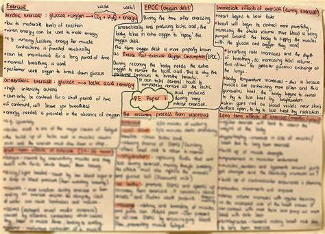 SOLUTION PE GCSE AQA Paper 1 Effects Of Exercise Mindmap Studypool
