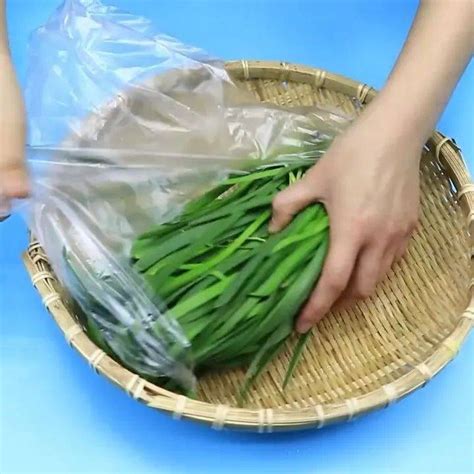 吃不完的韭菜放冰箱很容易烂？教你1个土办法，放15天不烂不发黄进行箱子叶子