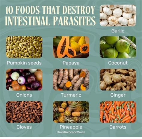 Devotion Essentials On Instagram Check Out These 10 Foods That Help