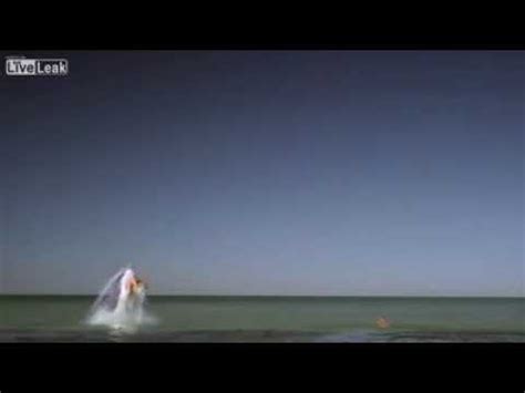 Pub Tampax YouTube
