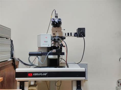 ATOMIC FORCE MICROSCOPY AFM CSIR NAL