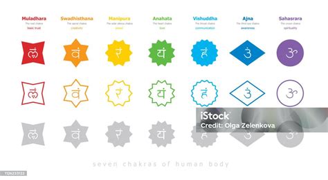 힌두교 불교 아유르베다에 사용인간의 신체의 차크라 시스템 디자인에 대 한 요가와 관련 된 벡터 Sahasrara 아즈 Vishuddha Anahata 마 니 프라