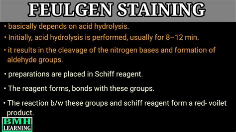 Dna Staining By Feulgen Reaction Feulgen Staining Youtube