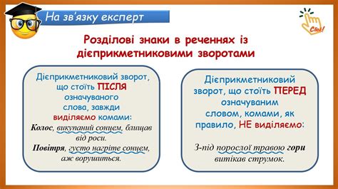Дієприкметниковий зворот Розділові знаки в реченнях із дієприкметниковими зворотами 7 клас НУШ за