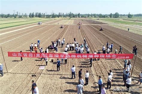 山東省蒜麥後直播早熟棉播種現場會，在巨野縣陶廟鎮召開 每日頭條