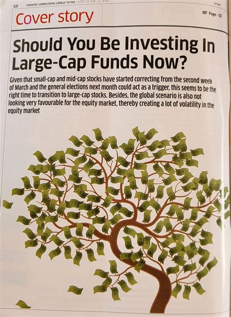 Vinayak Hosamani On Linkedin Large Cap Funds Invest In The Biggest