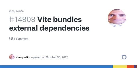 vite bundles external dependencies · issue 14808 · vitejs vite · github