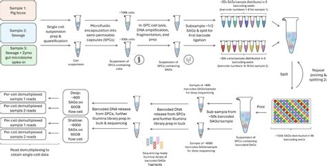 High Throughput Single Cell Metagenomic Sequenc
