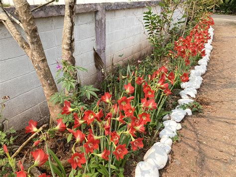 ภูพญาโฮมสเตย์ ภูพญาโฮมสเตย์ Added A New Photo — At