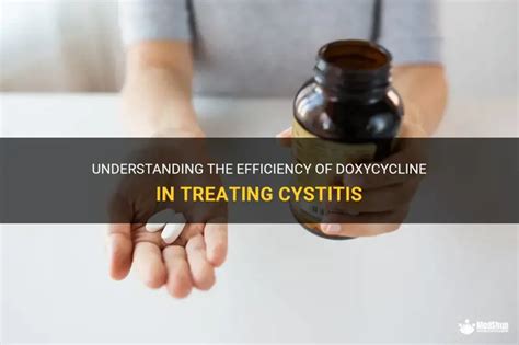Understanding The Efficiency Of Doxycycline In Treating Cystitis Medshun